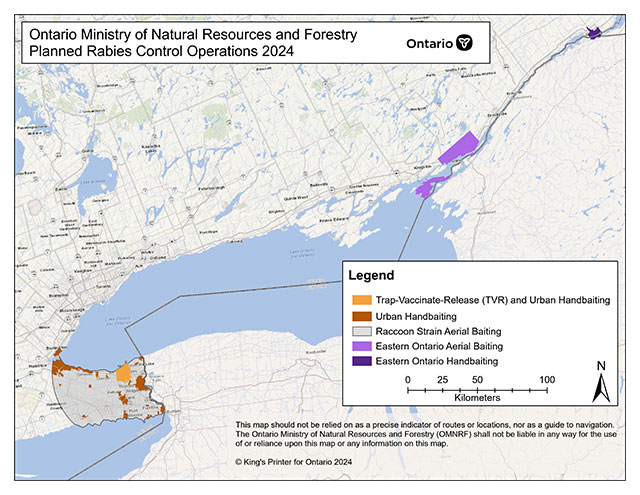 Wildlife rabies outbreaks and control operations | ontario.ca