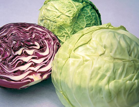 Cabbage | Foodland Ontario