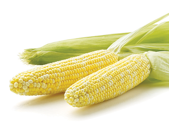 Sweet corn | Foodland Ontario