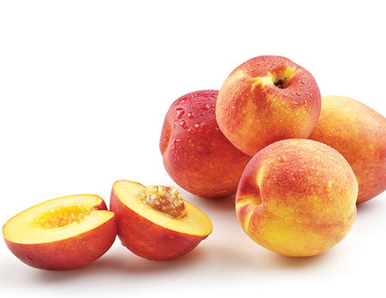 Student Nutrition Program (SNP) Newsletter