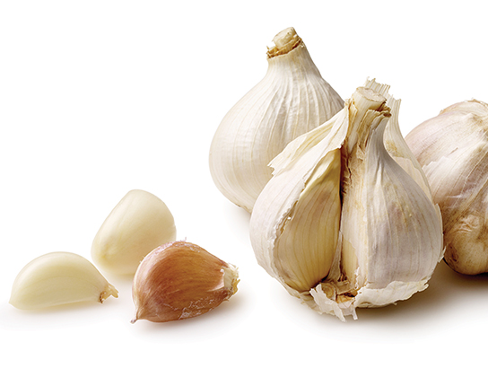 Garlic | Foodland Ontario
